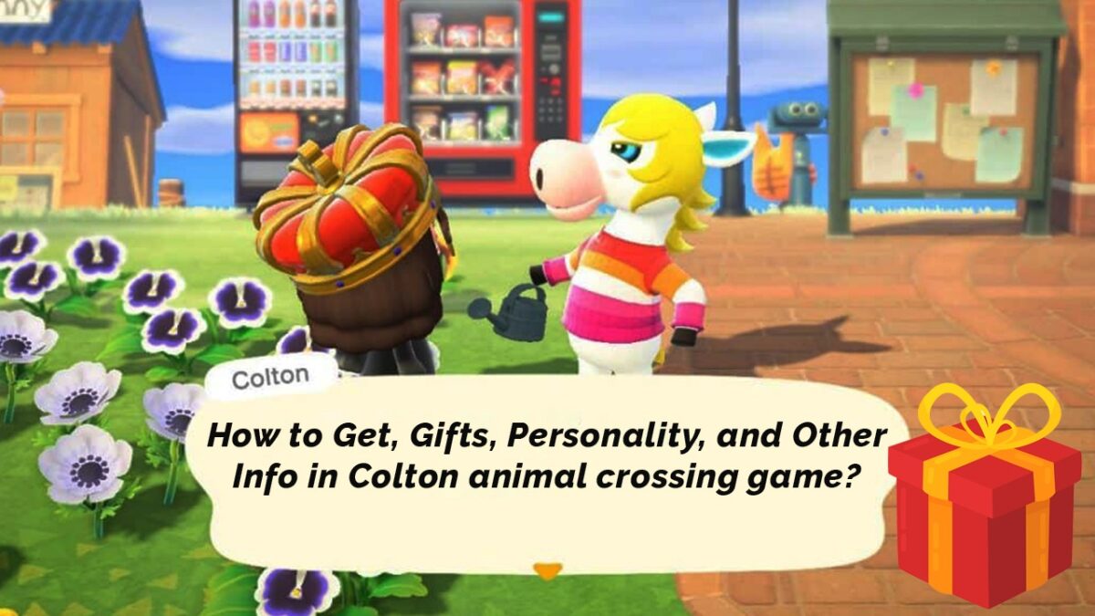 How To Get, Gifts, Personality, Colton Animal Crossing Game?
