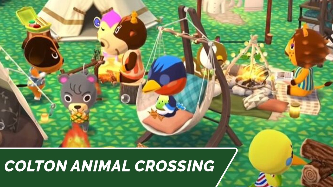 How To Get, Gifts, Personality, Colton Animal Crossing Game?
