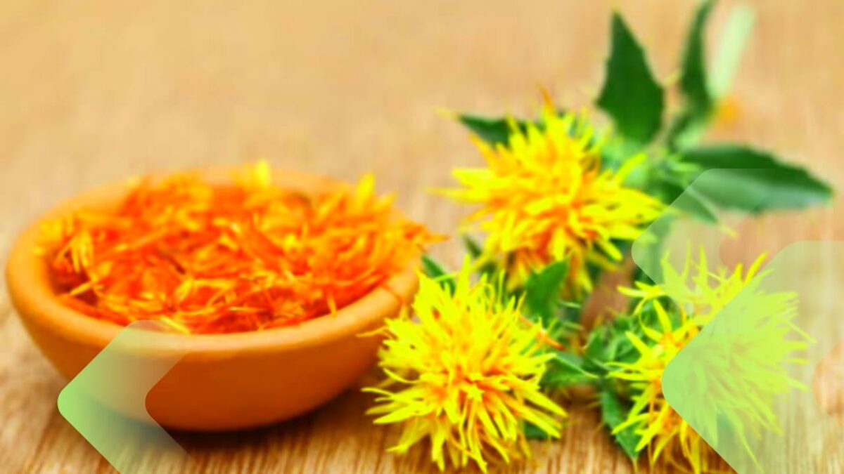 The Positive Effects Of Safflower Oil On Health - Reorion Planet